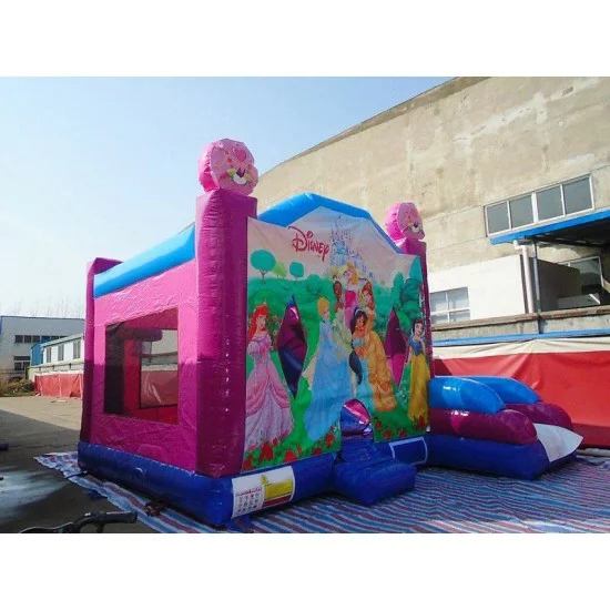 Disney Princess Combo Slide, Disney Princess Bounce House With Slide ...